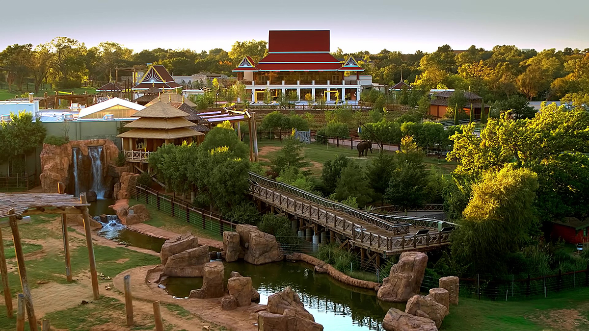 Lions and tigers and bears: oh my! There’s plenty to see at the OKC Zoo ...