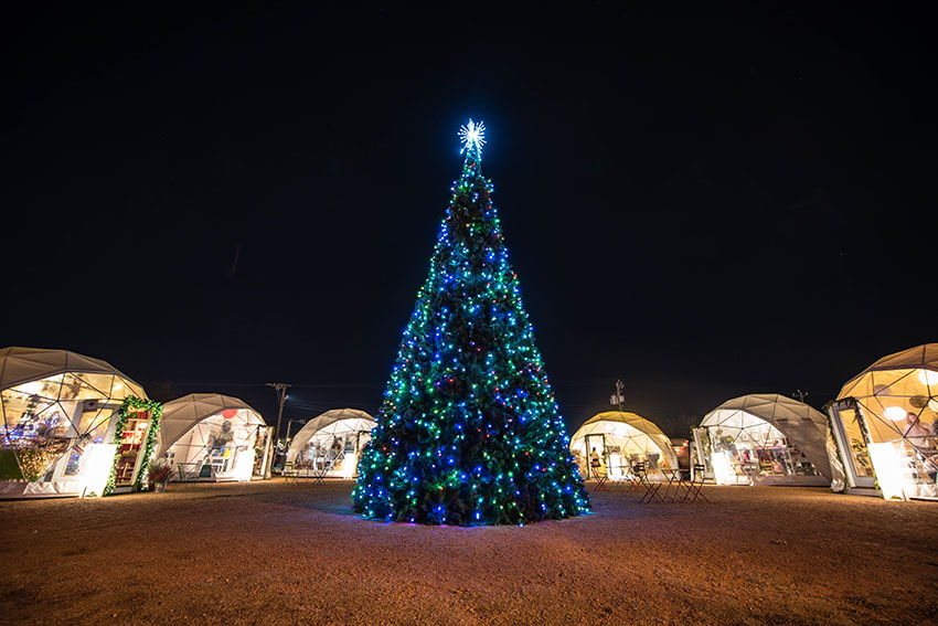 Live Christmas trees available across the metro | Oklahoma City - A ...